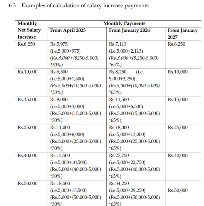 How Will Public Sector Salaries Increase Under Budget 2025?: Full ...