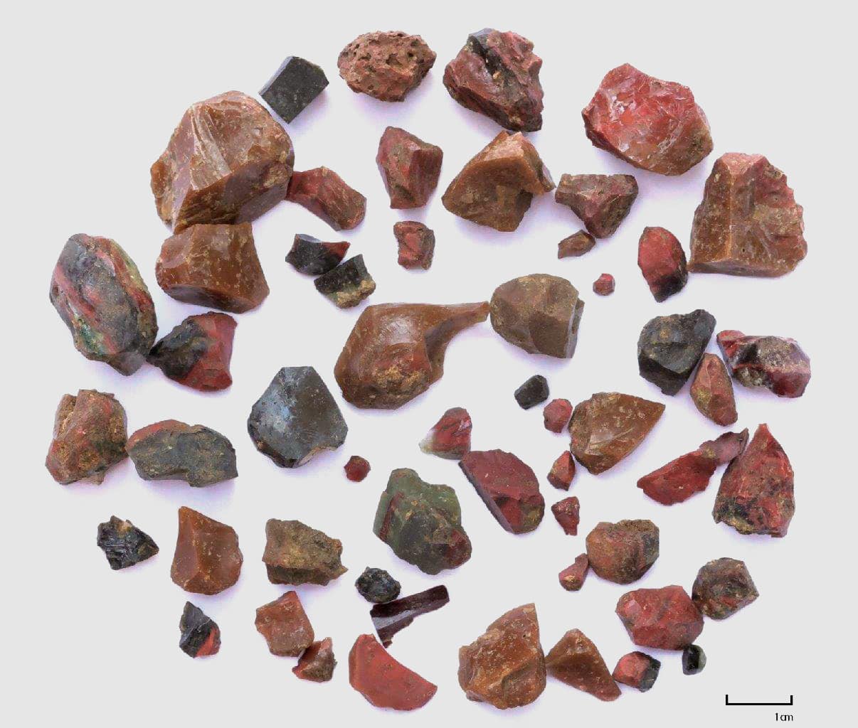 German-Sri Lankan Archaeological Collaboration Uncovers Ancient ...